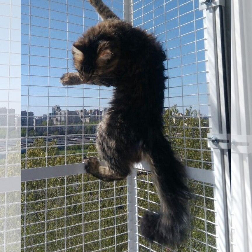 Кошачий балкончик съёмный на окно пвх
