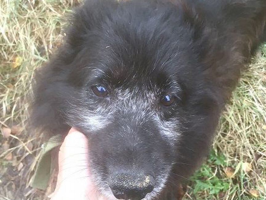 Мишаня несколько лет не выходил из клетки