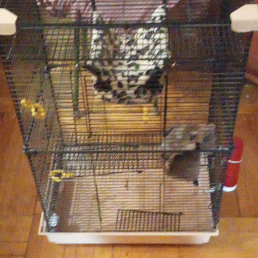 Клетка для животных бу