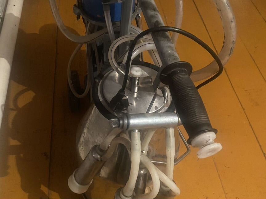 Доильный аппарат для коров бу