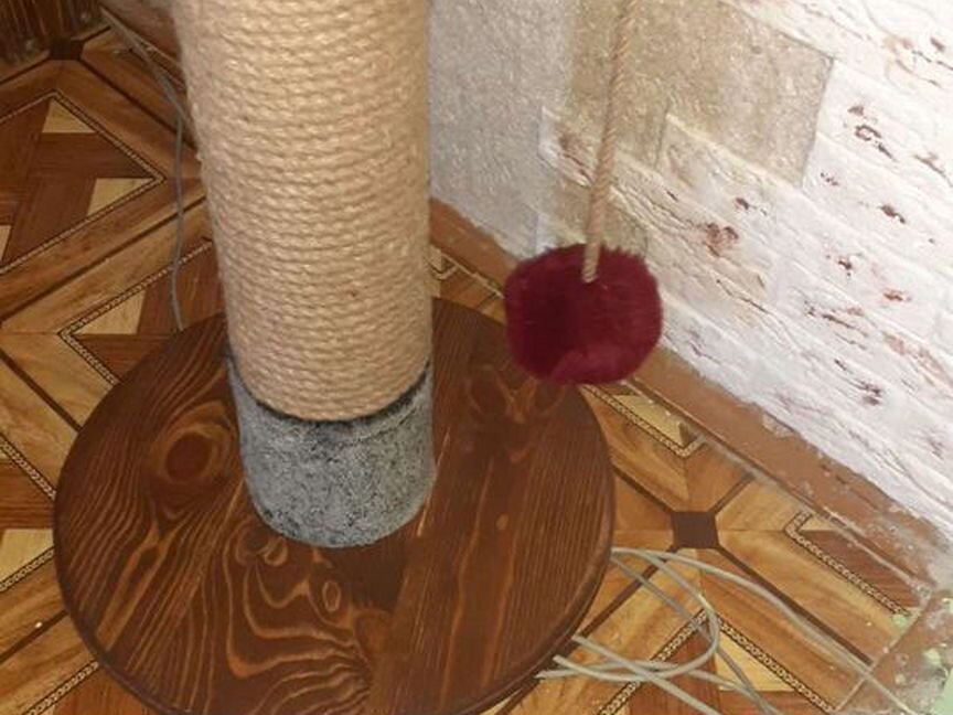 Когтеточка