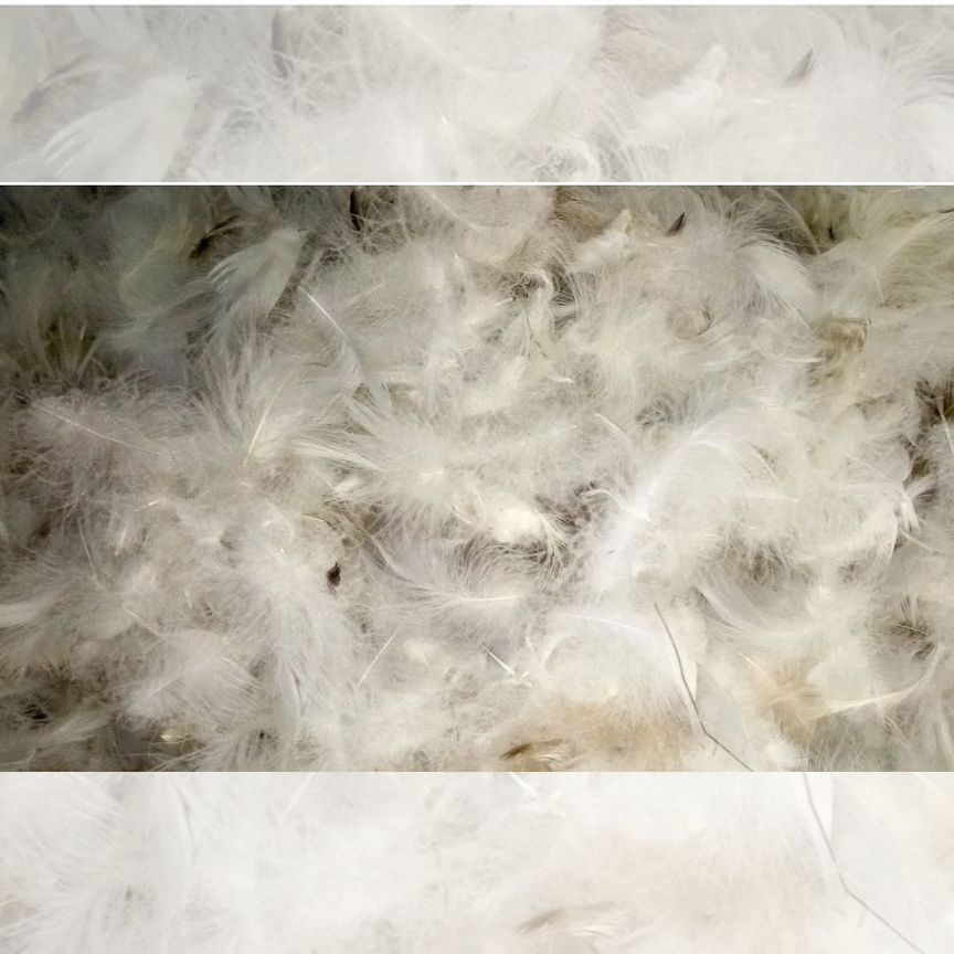 Продам перо гусиное