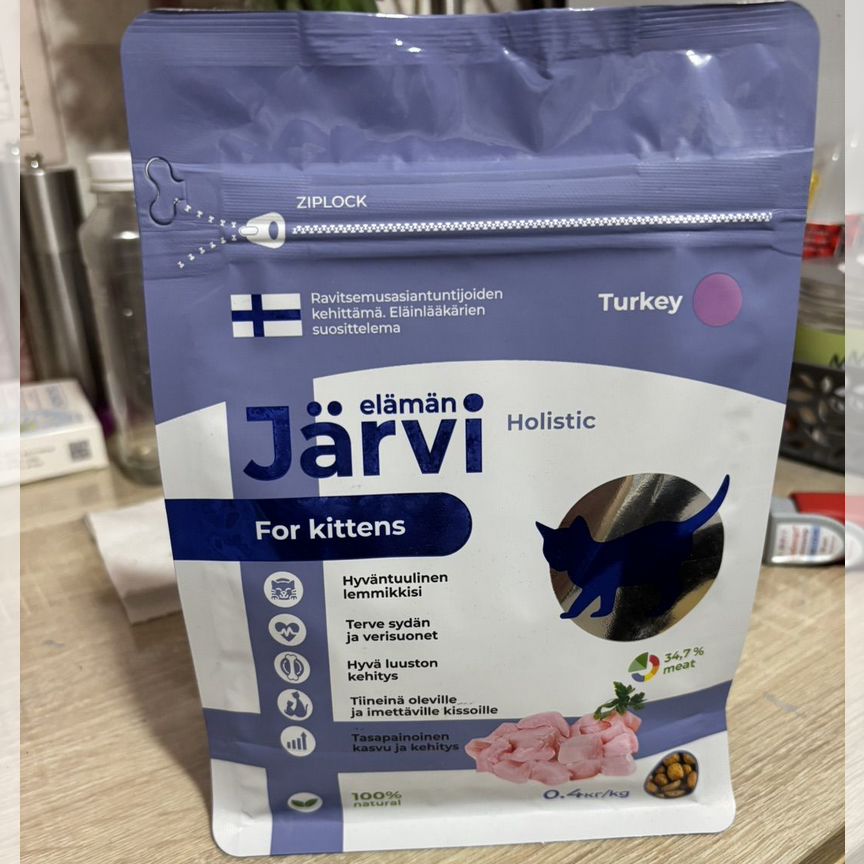 Jarvi для котят