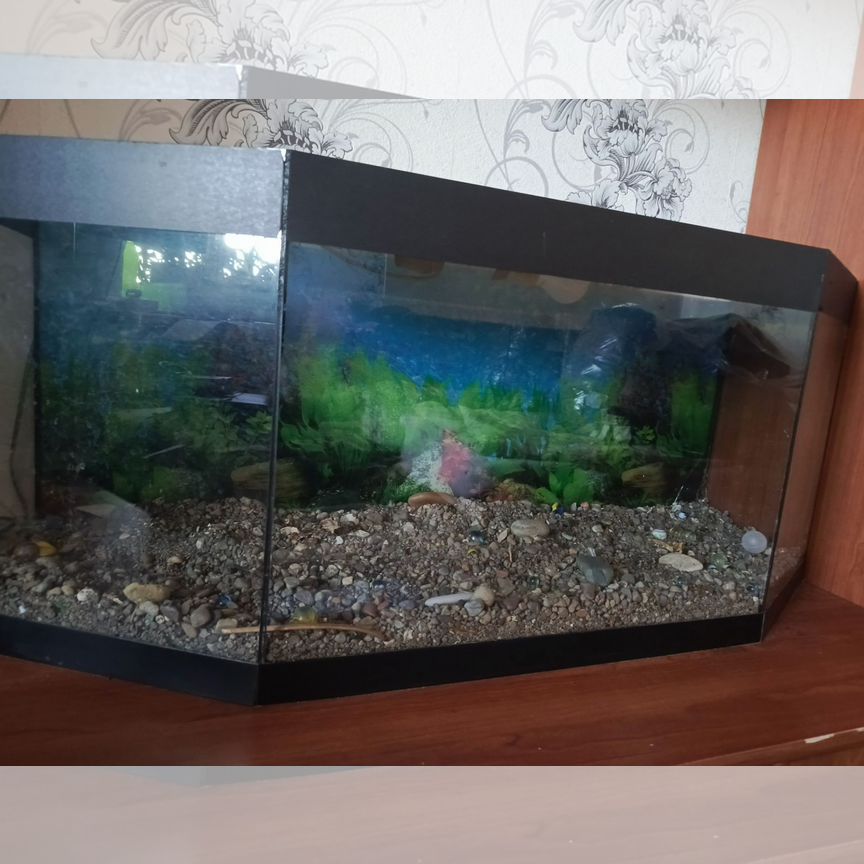 Аквариум 150 литров