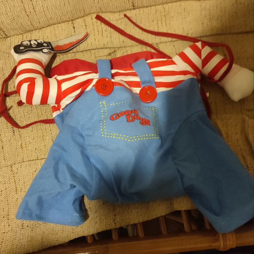 Одежда для маленьких собак