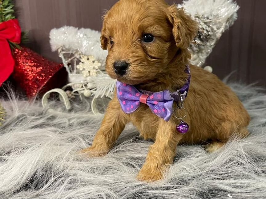 Сладкие карамельки