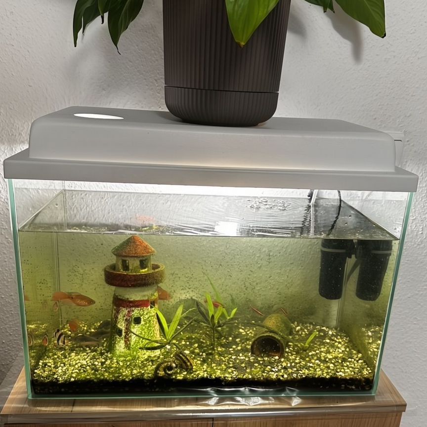 Аквариум с рыбками