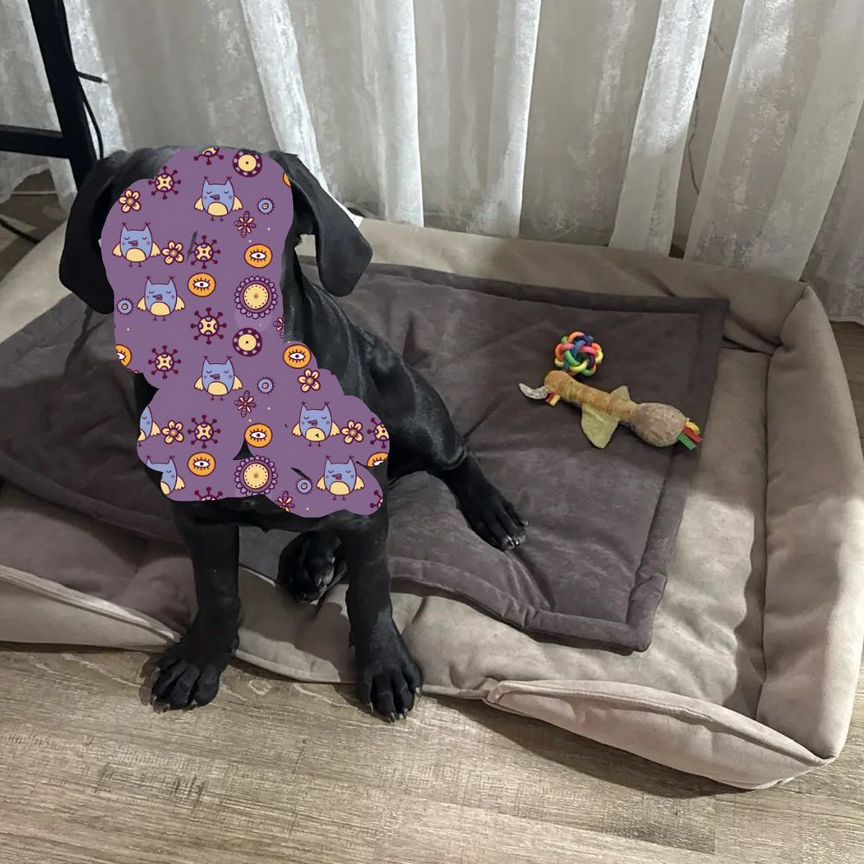 Лежанка для собак и кошек пошив