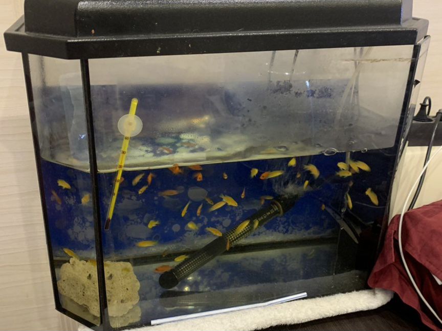 Аквариум 40л
