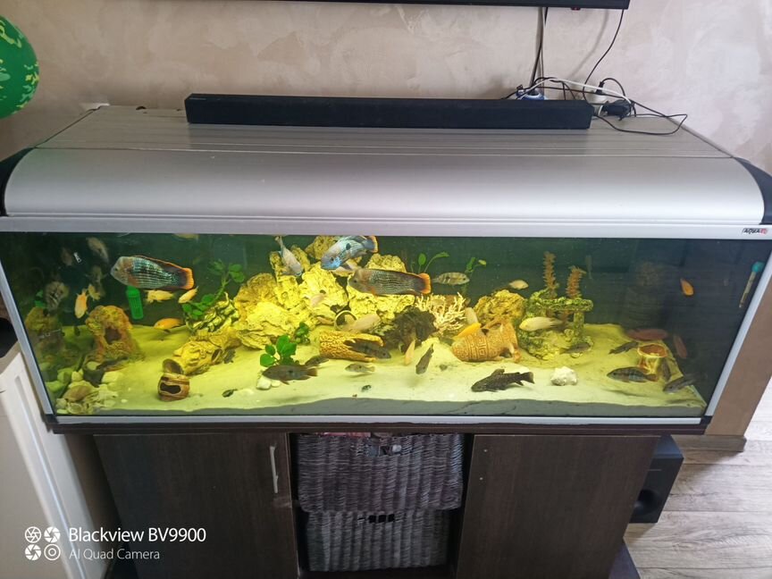 Аквариум с тумбой 400 литров