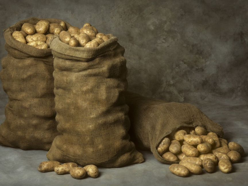 Картофель мелкий на корм скоту