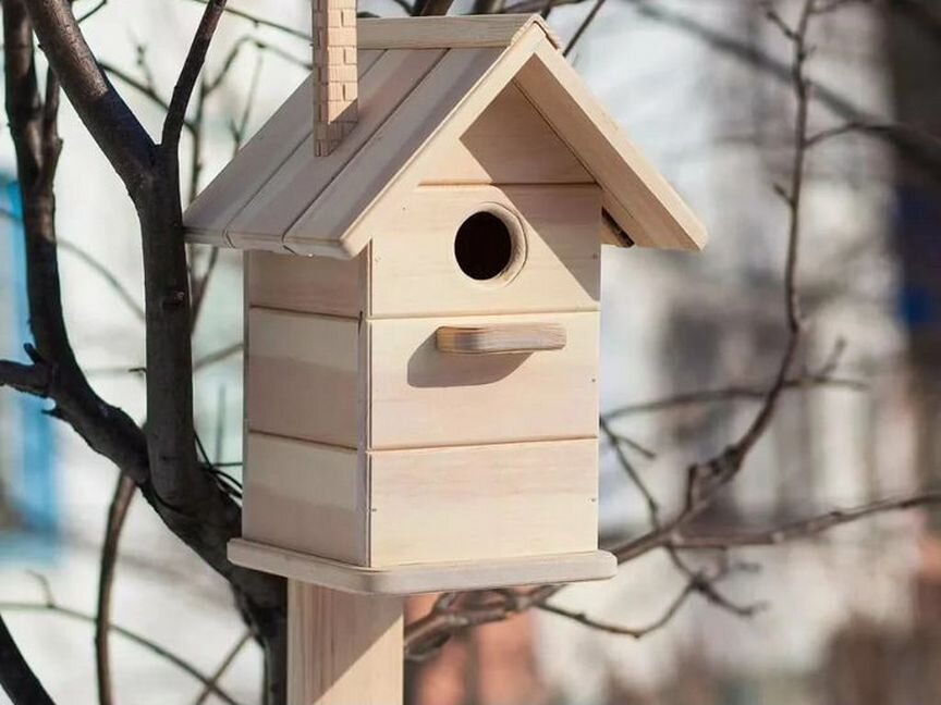Скворечники, кормушки