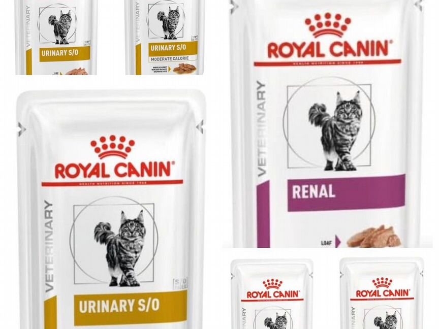 Royal Canin в ассортименте
