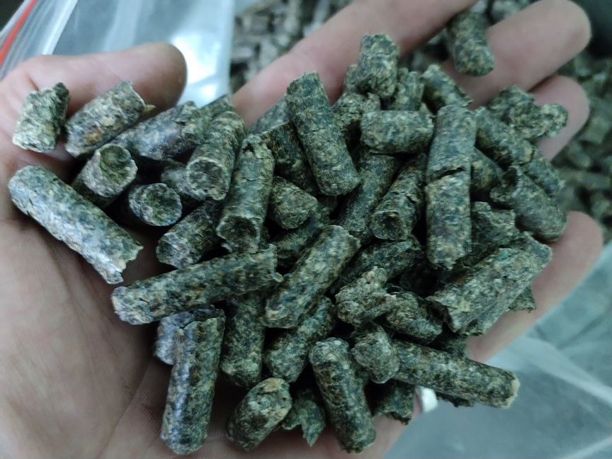 Жом свекловичный