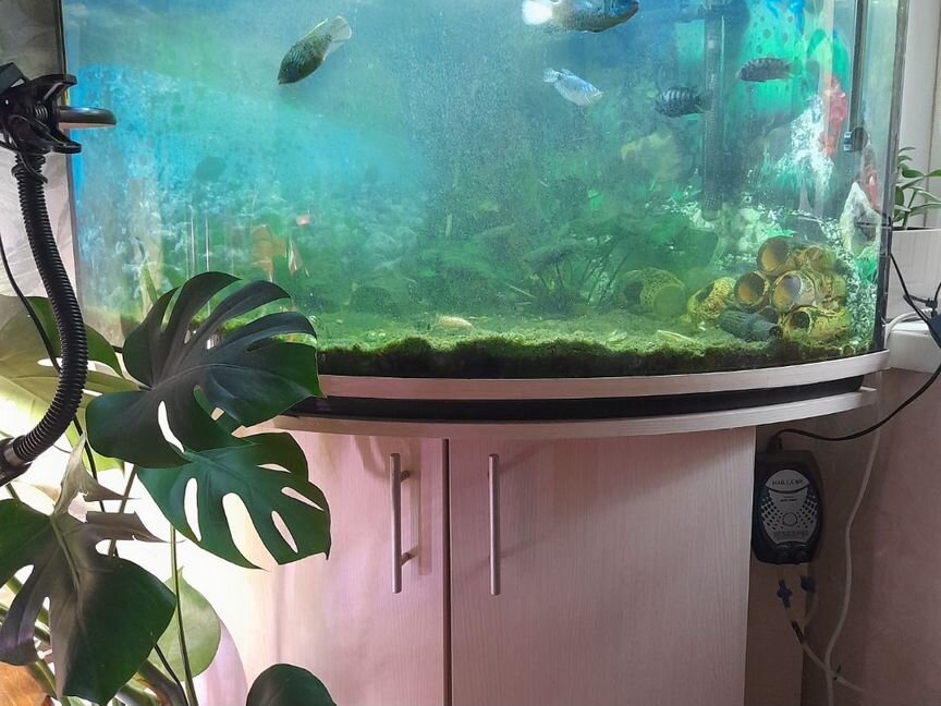 Аквариум диарамный 200 литров