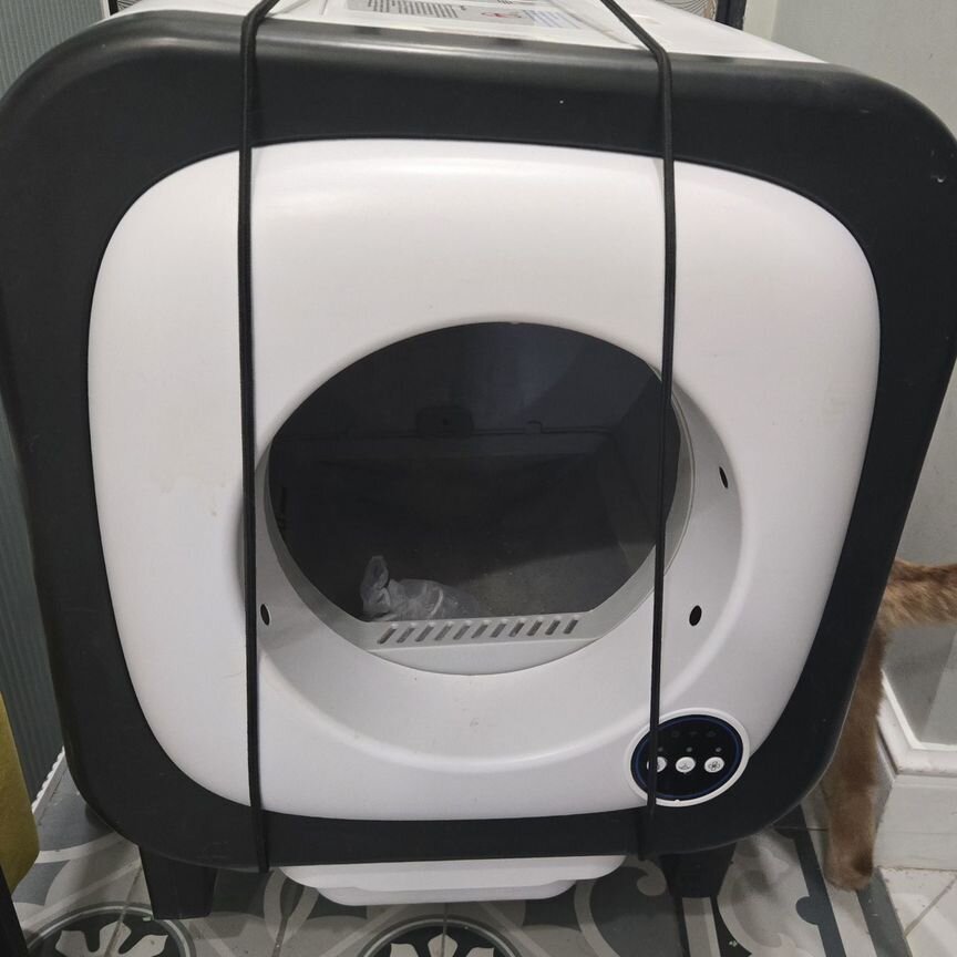 Автоматический лоток для кошек с камерой