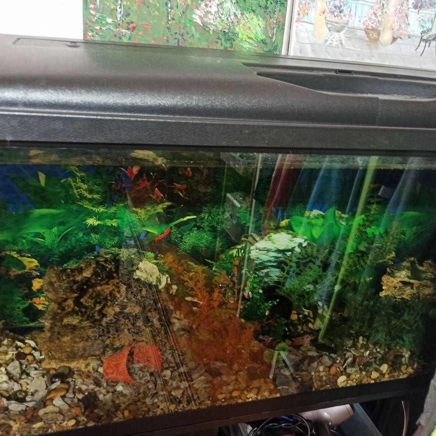 Аквариум с тумбой 250лит