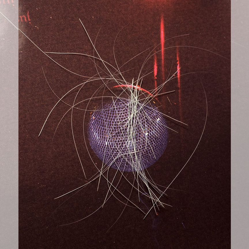 Кошачьи усы натуральные 35 штук