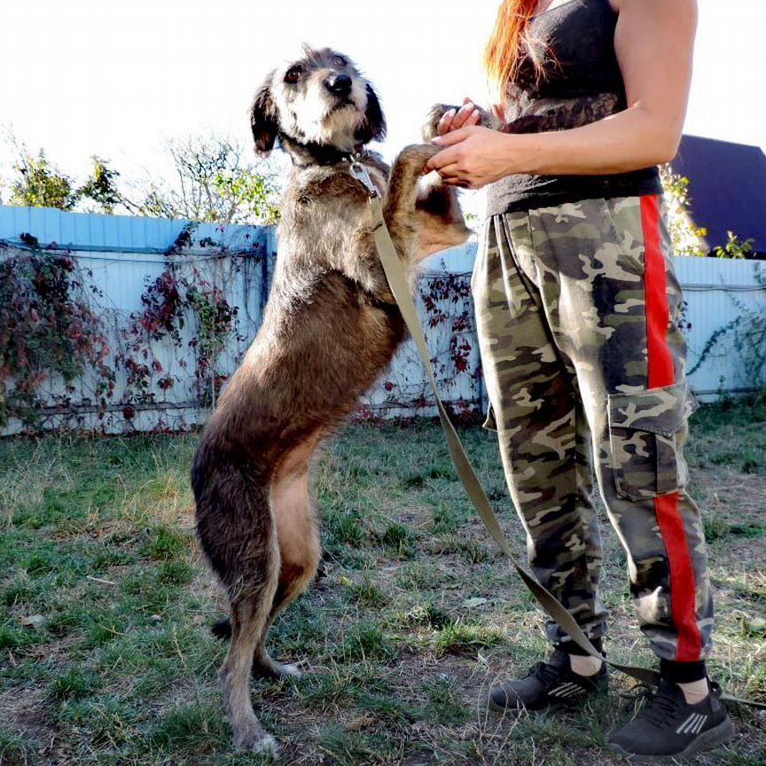 В хорошие руки