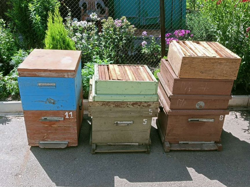 Ульи для пчел бу