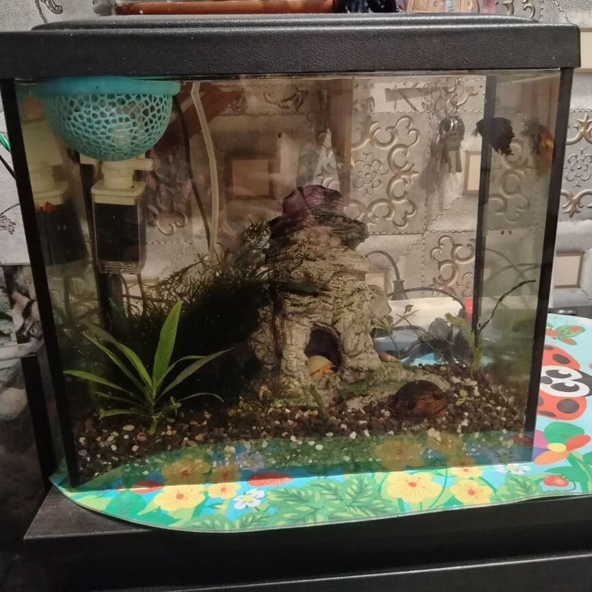 Аквариум 20 литров