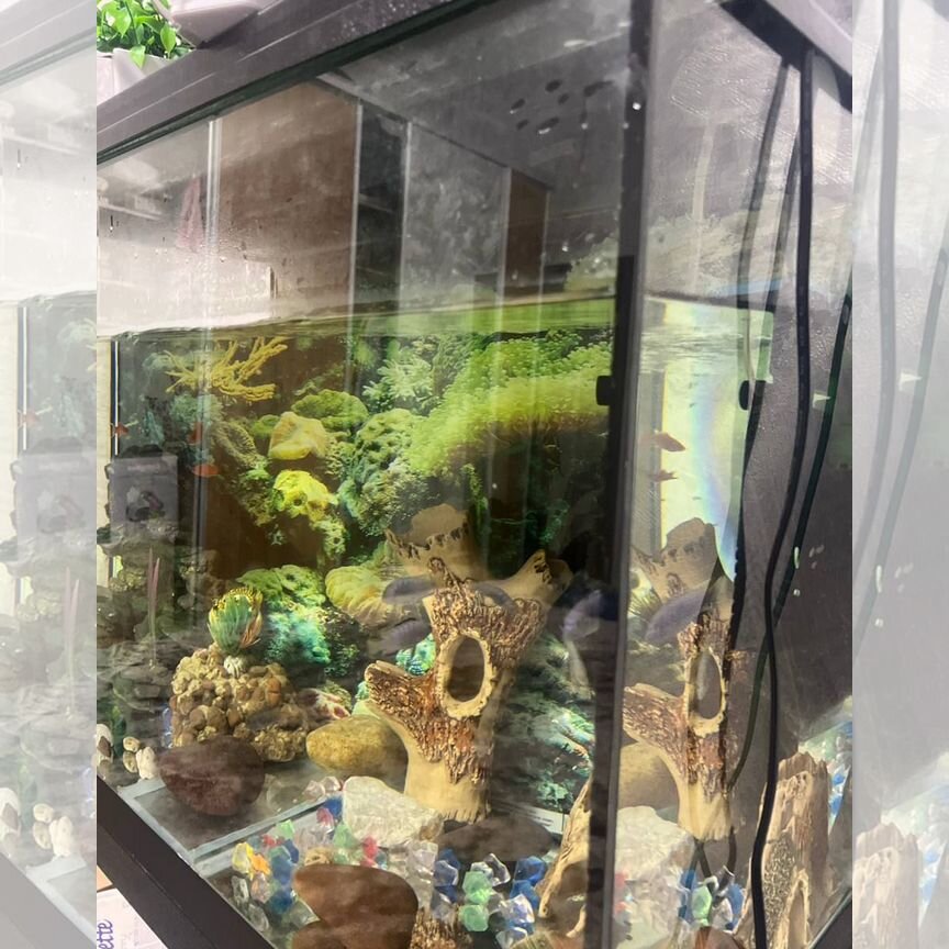 Аквариум с рыбками 125 литров