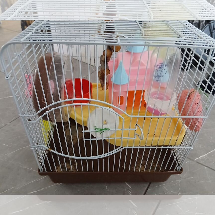 Клетка для хомяка и шар