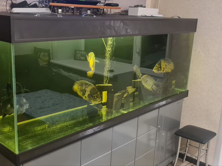 Аквариум на 800 литров