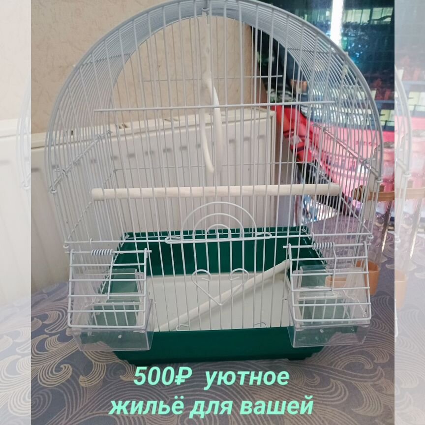 Клетка для попугая