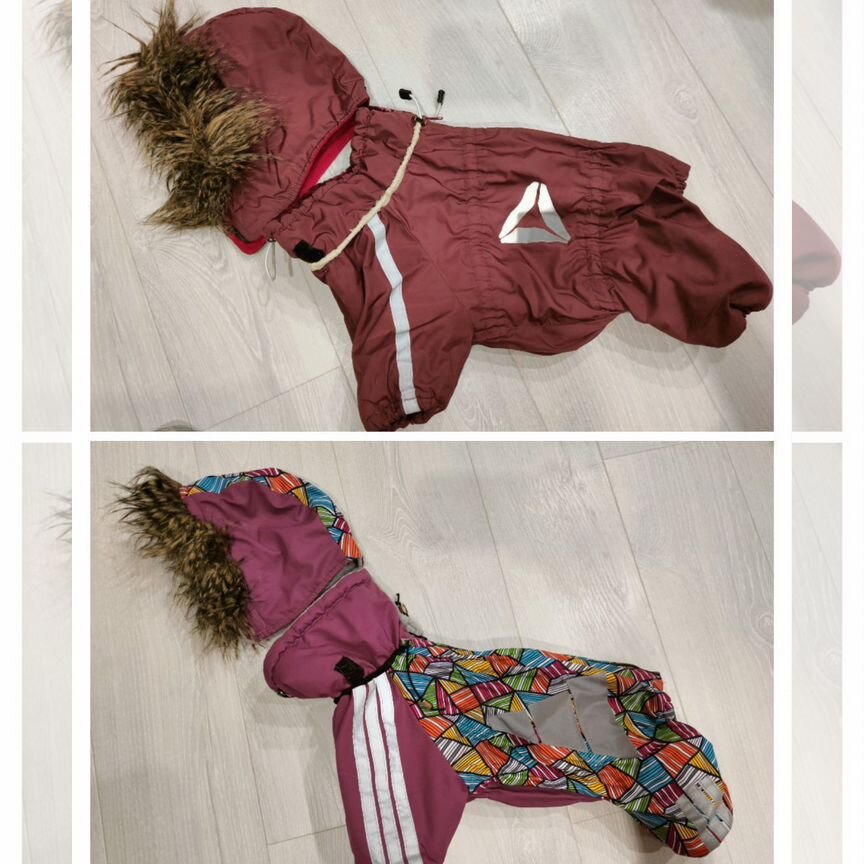 Одежда костюм для собак средних пород девочка