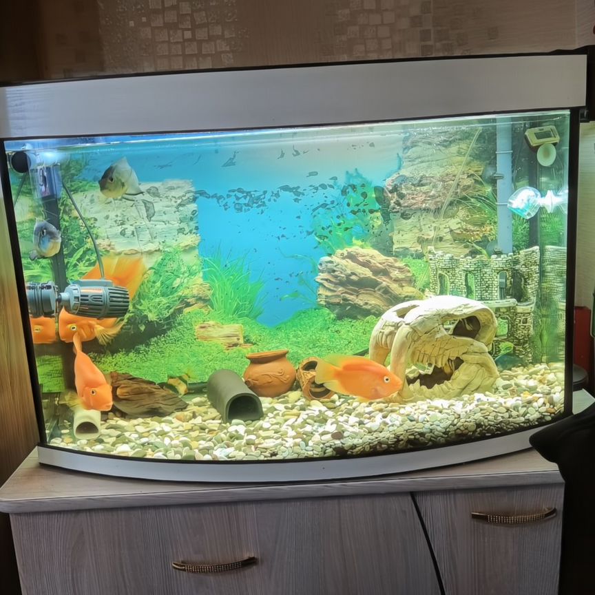 Аквариум-190 литров