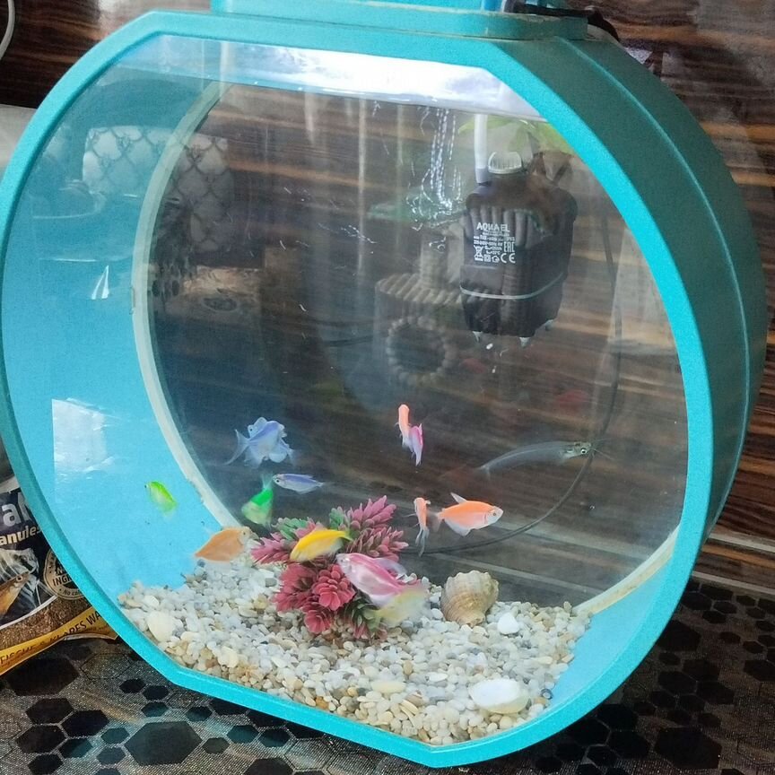 Аквариум с рыбками