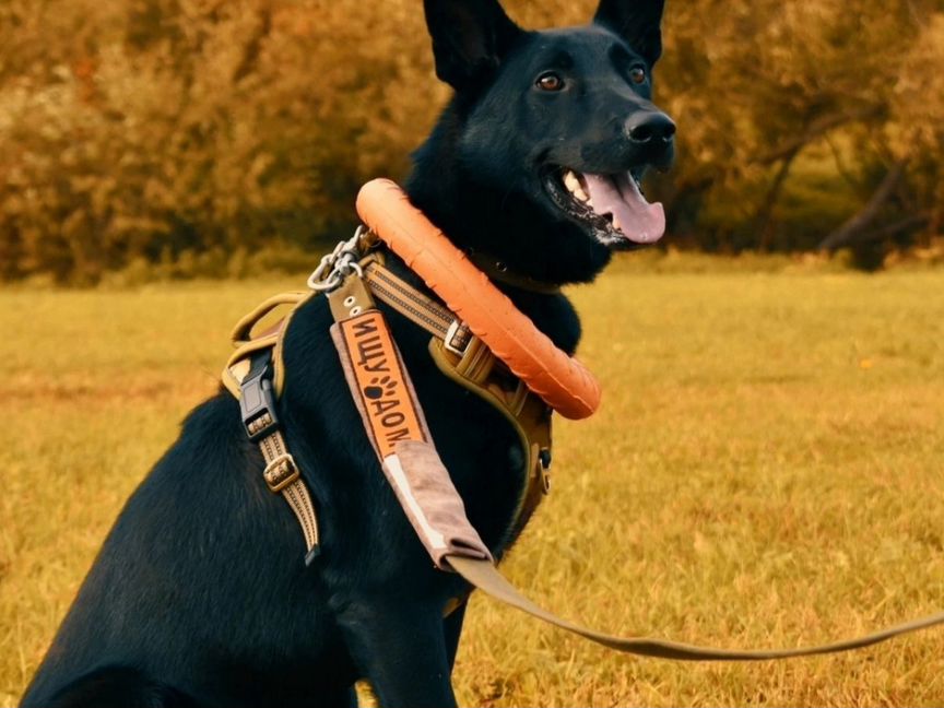 Кому нужен друг