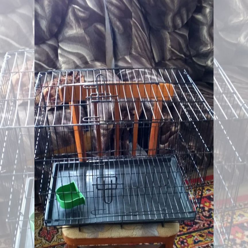 Клетка для кролика