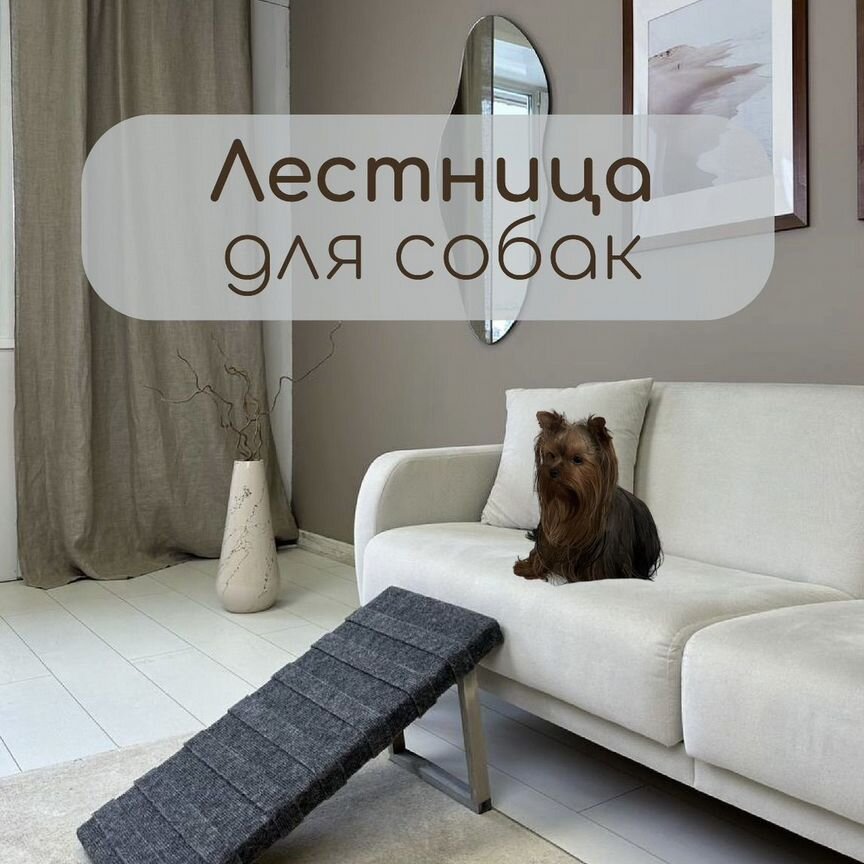 Лестница, горка для собак