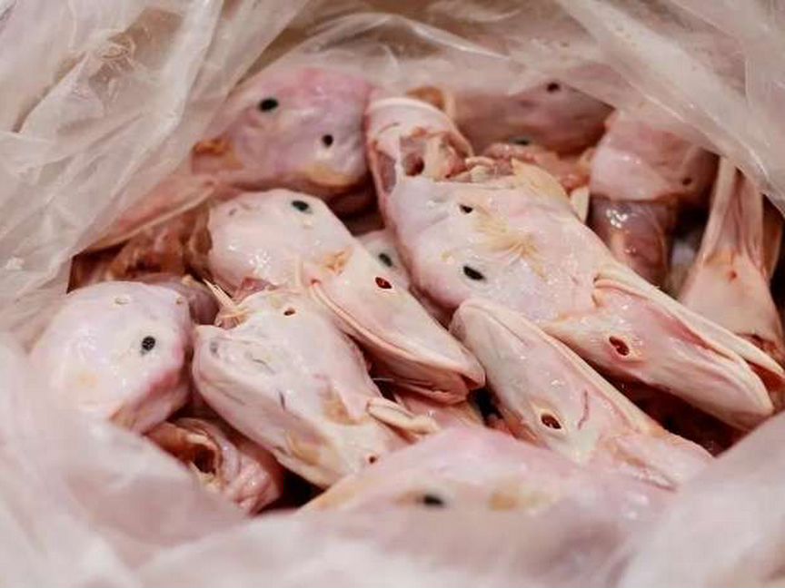Утиные головы,шеи фермерские и др.субпродукты