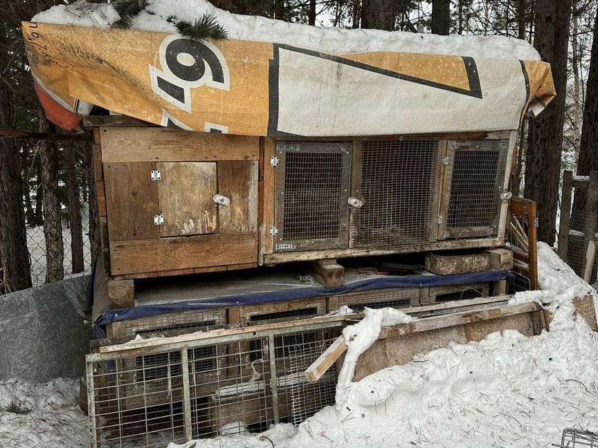 Клетки для животных