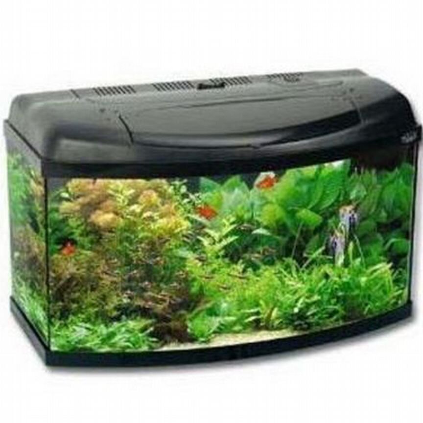 Аквариум Aquael pearlset 60