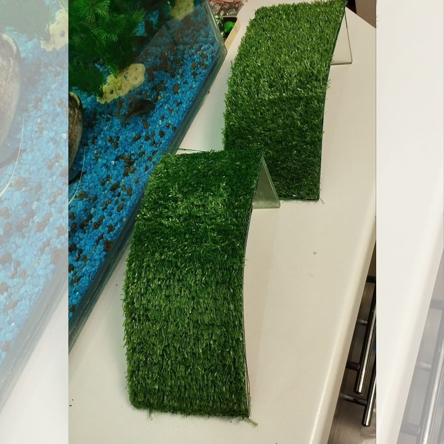 Мостик для черепахи стеклянный