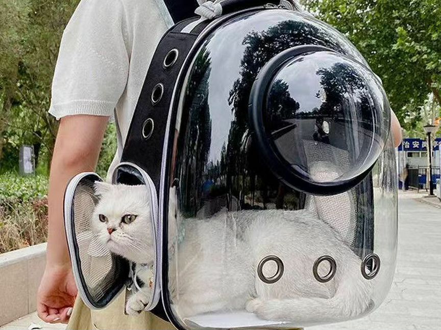 Рюкзак для переноски кошка и щенок