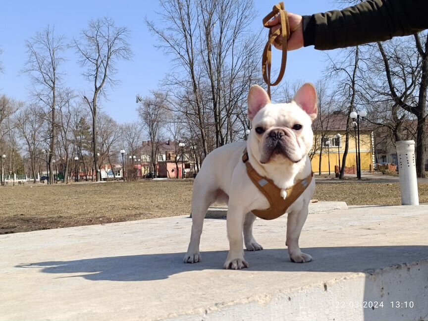 Крем квадро вязка