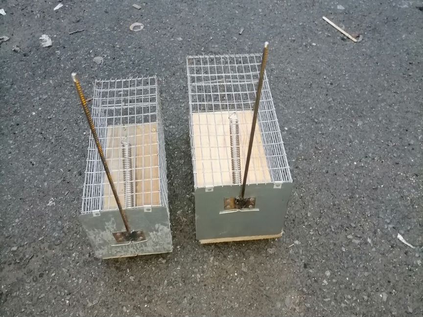 Ловушки для хомяка и крыс