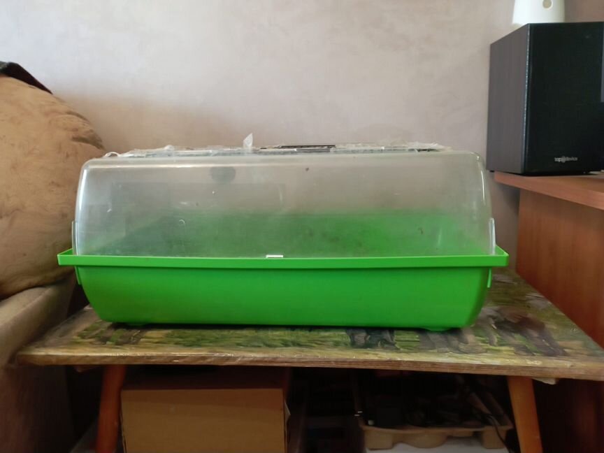 Террариум для улиток