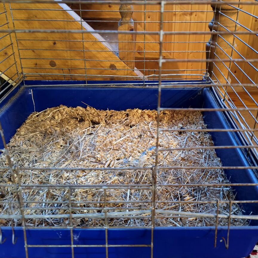 Клетка для грызунов