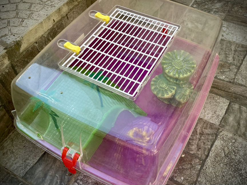 Островок для черепахи