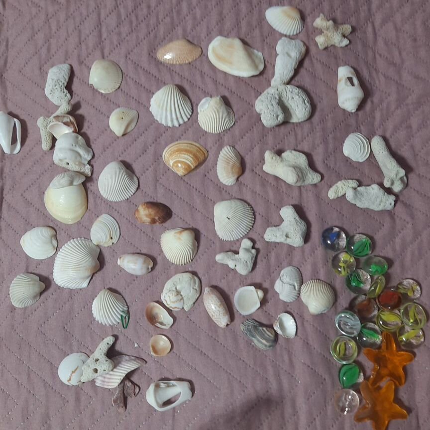 Ракушка и камешки для аквариума