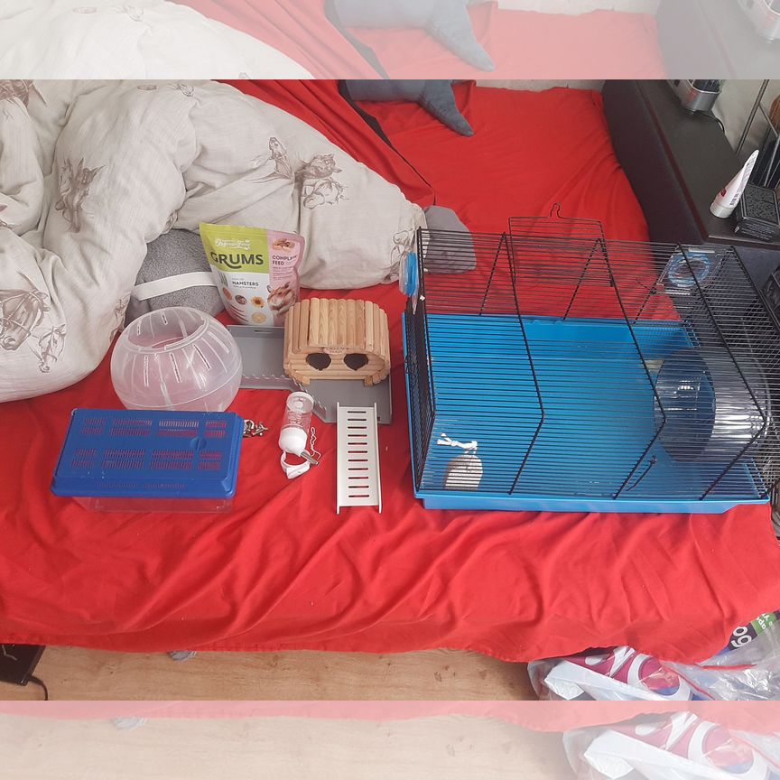 Клетка для грызунов