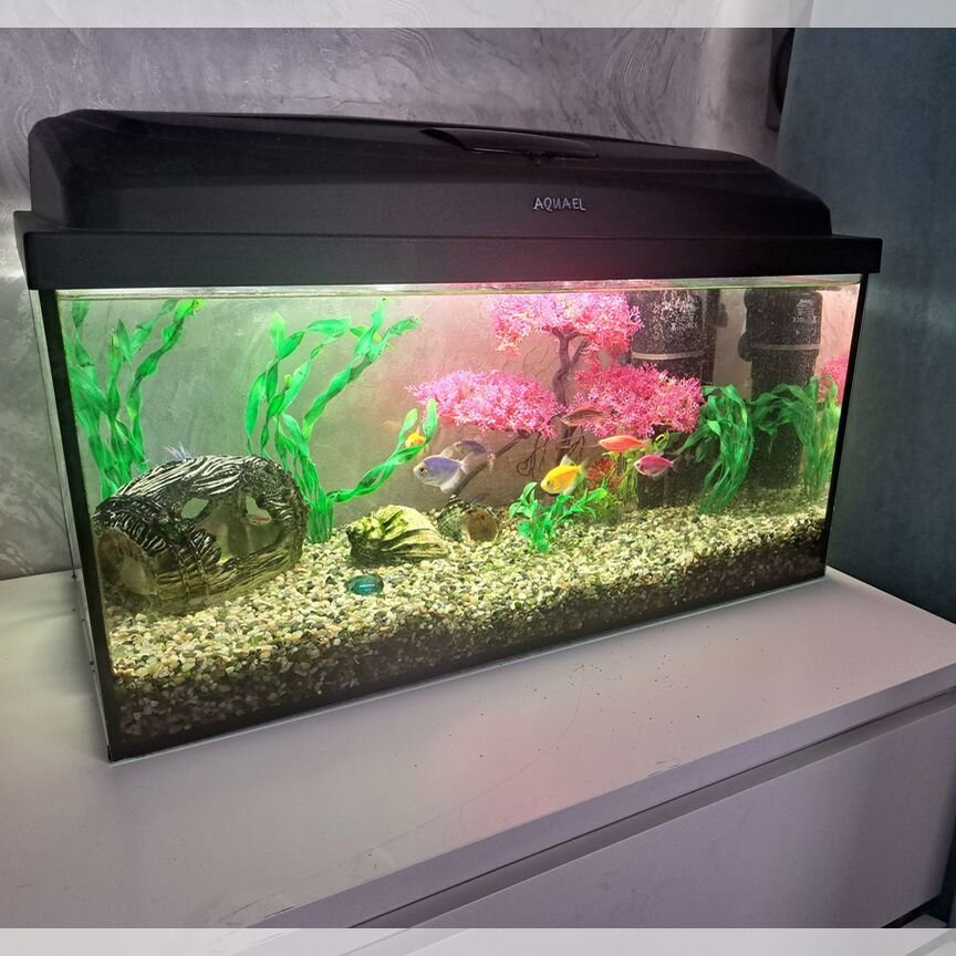 Аквариум с рыбками