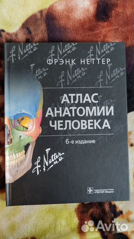 Атлас анатомии человека - Фрэнк Неттер, 6-е издание,... купить в Москве ...