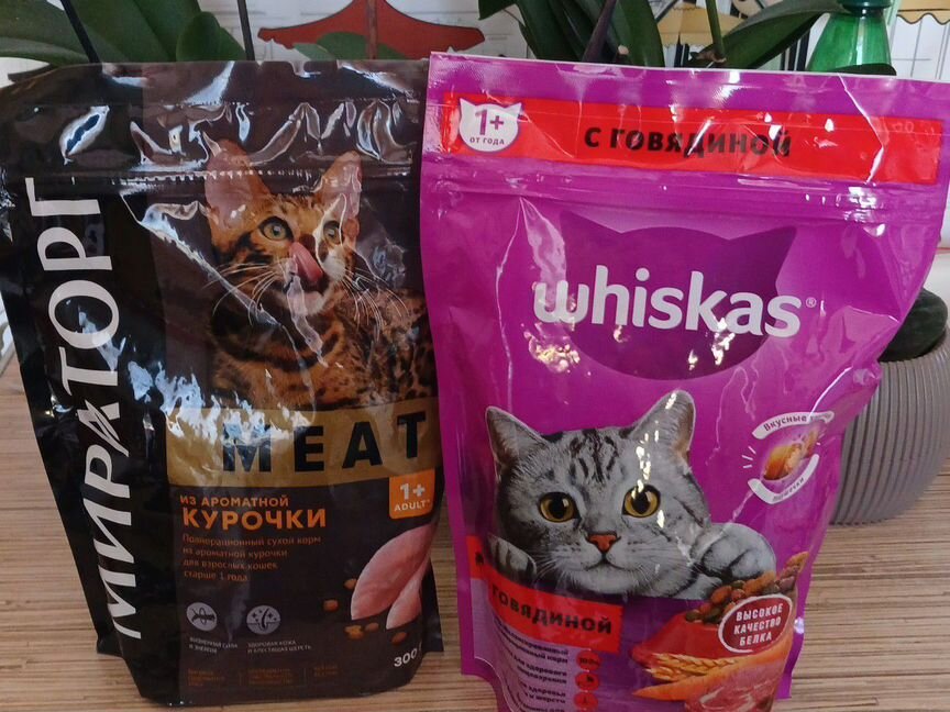 Сухой корм для кошек